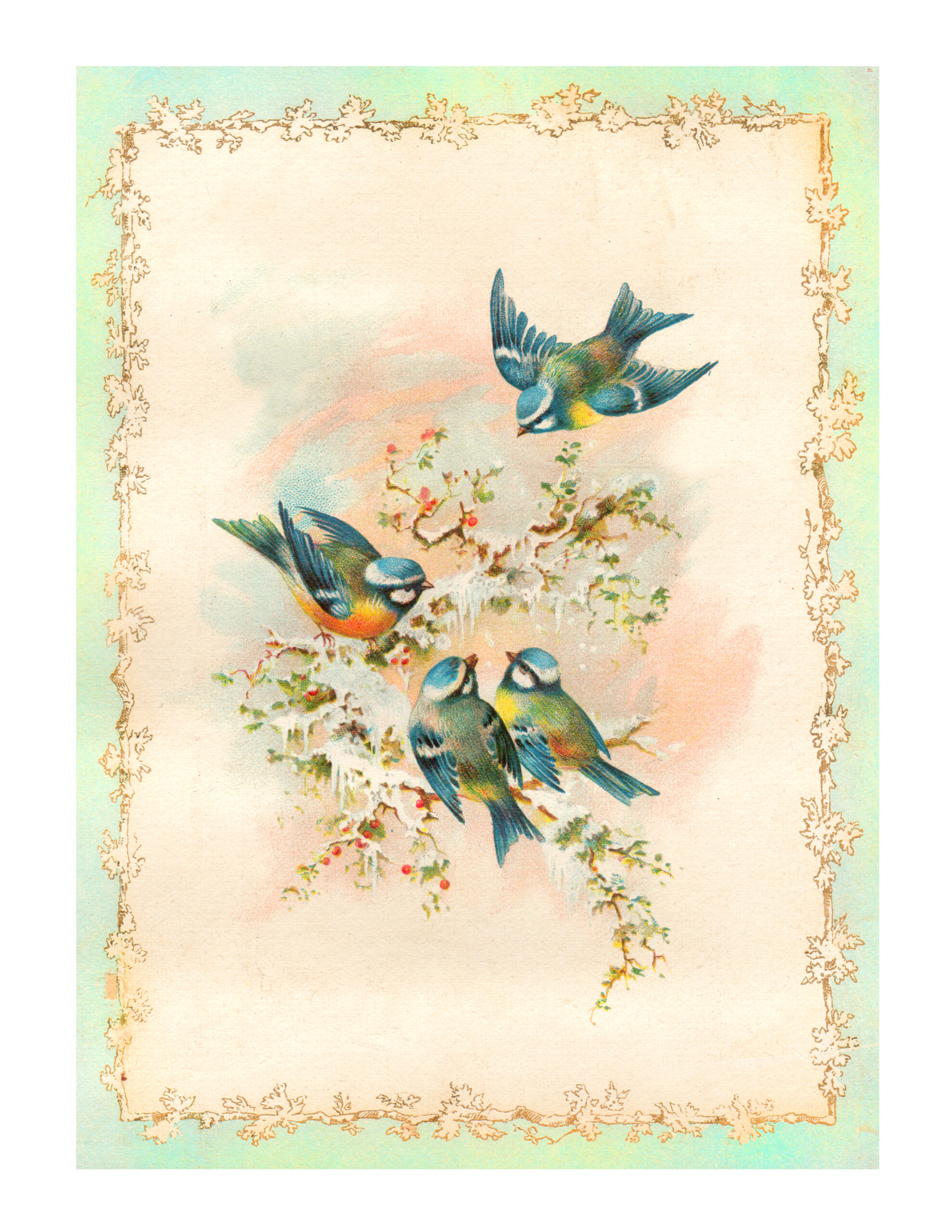 Bird Drawings: Royalty Free Image - Free Pretty Things For You