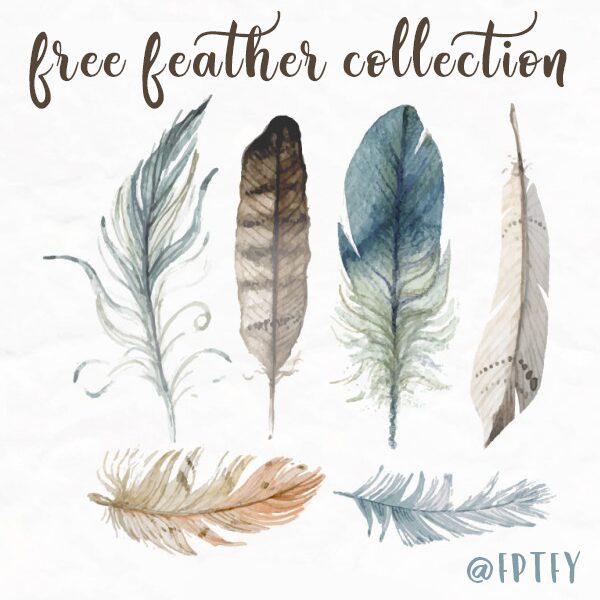 Free Hand Drawn Feather Collection - Free Pretty Things For You