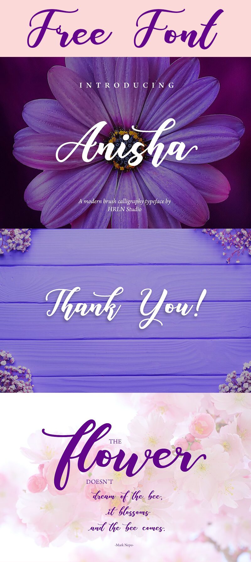 Free Anisha Font - Free Pretty Things For You