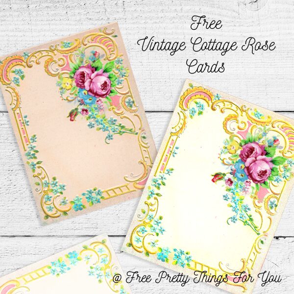 Free Vintage Cottage Rose Postcard Images