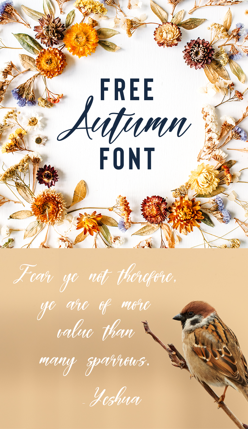 Free Autumn Script Font