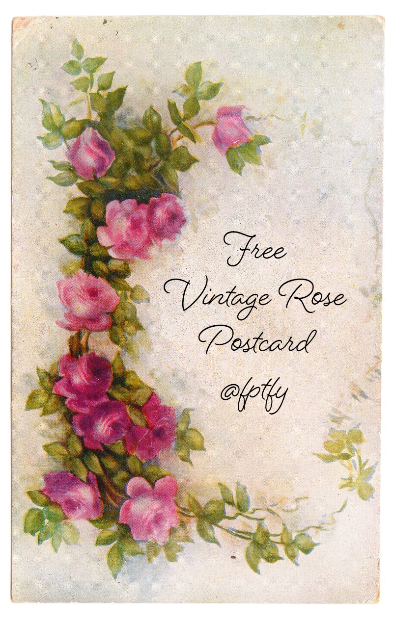 Free Vintage Rose Postcard